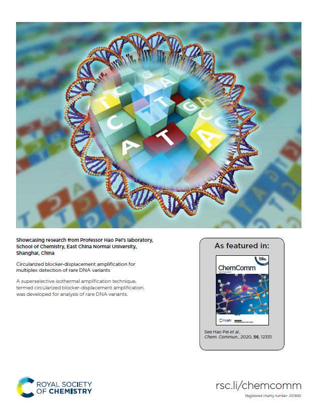 化学与分子工程学院